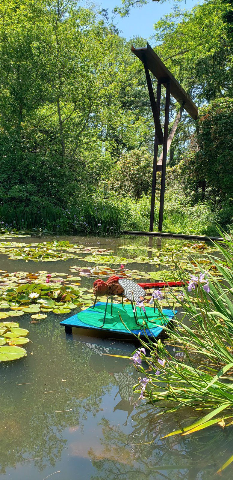 The Flume & Donald Marvin Daylily Garden - Heritage Museums & Gardens
