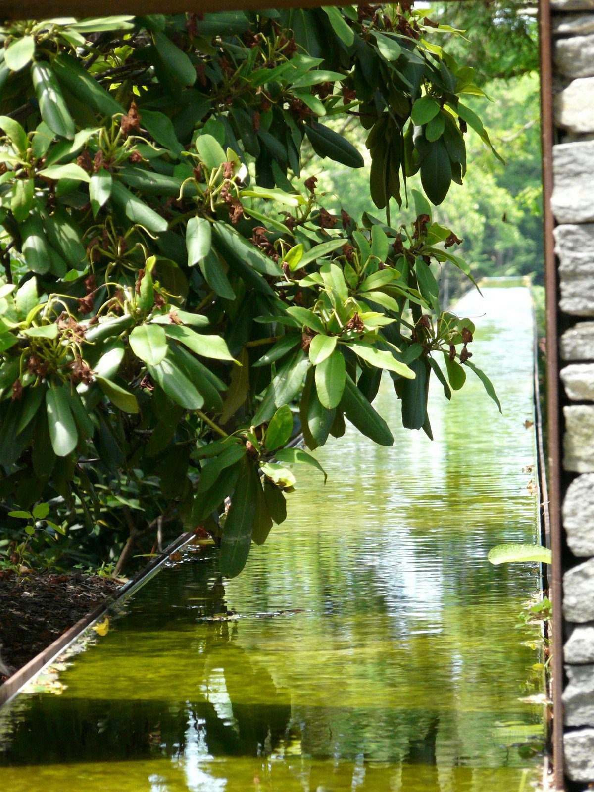 The Flume & Donald Marvin Daylily Garden - Heritage Museums & Gardens
